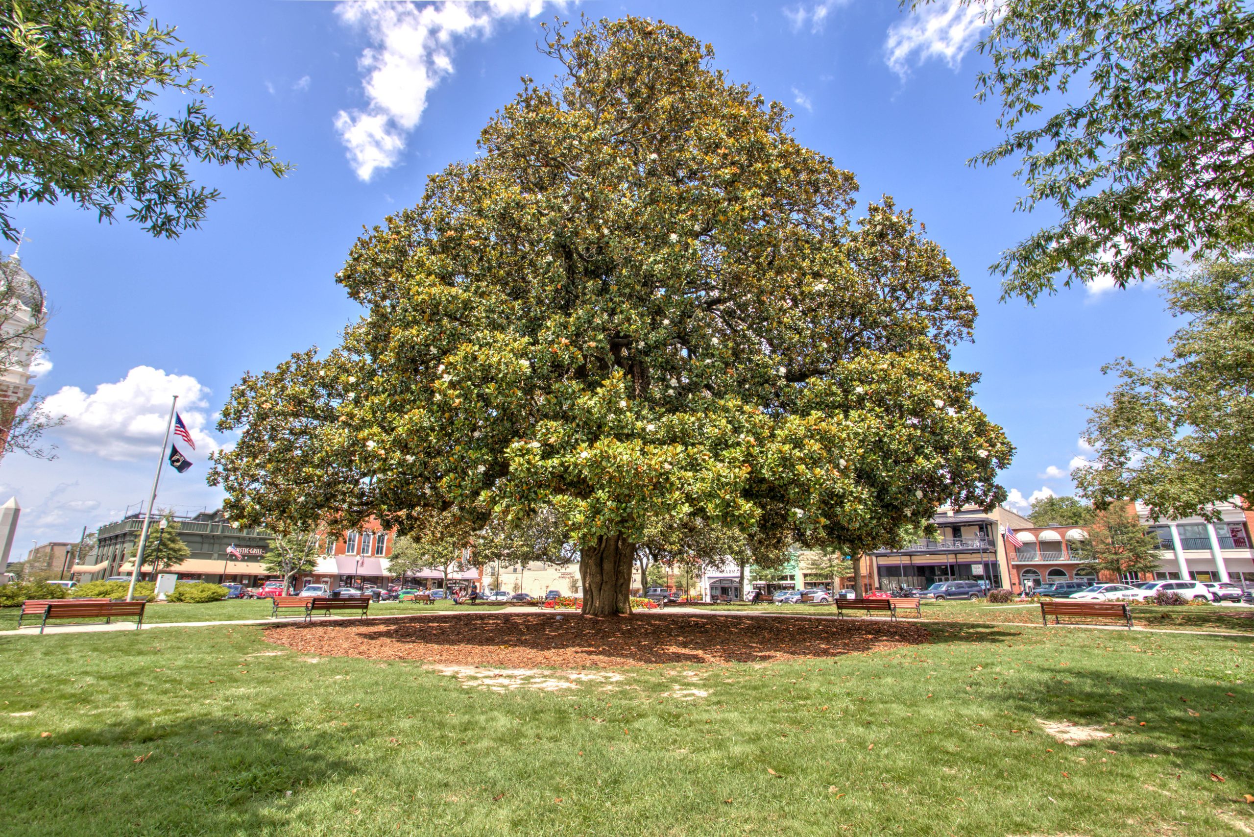 Pinegate - My Home Communities